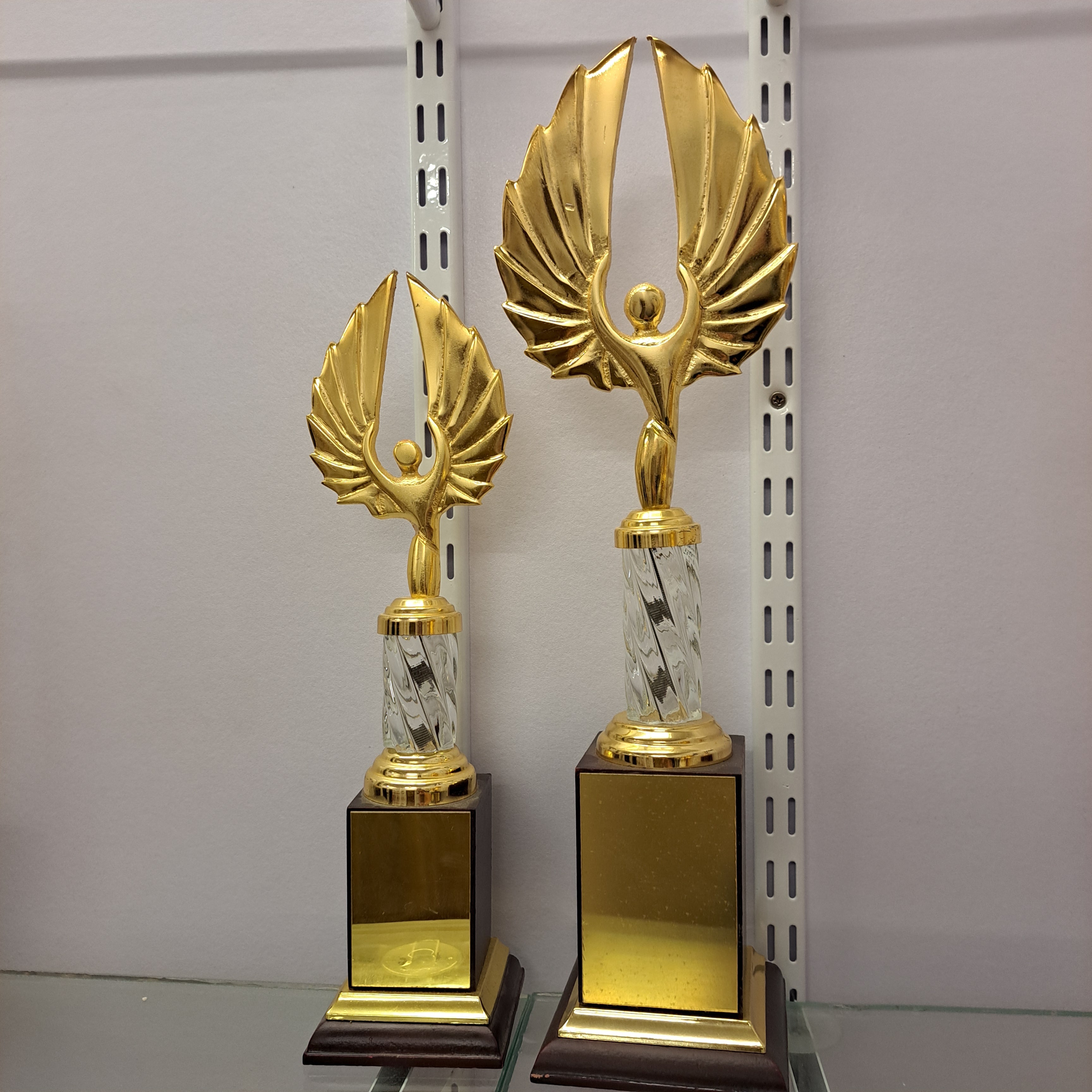 450 Golden Wing Trophy