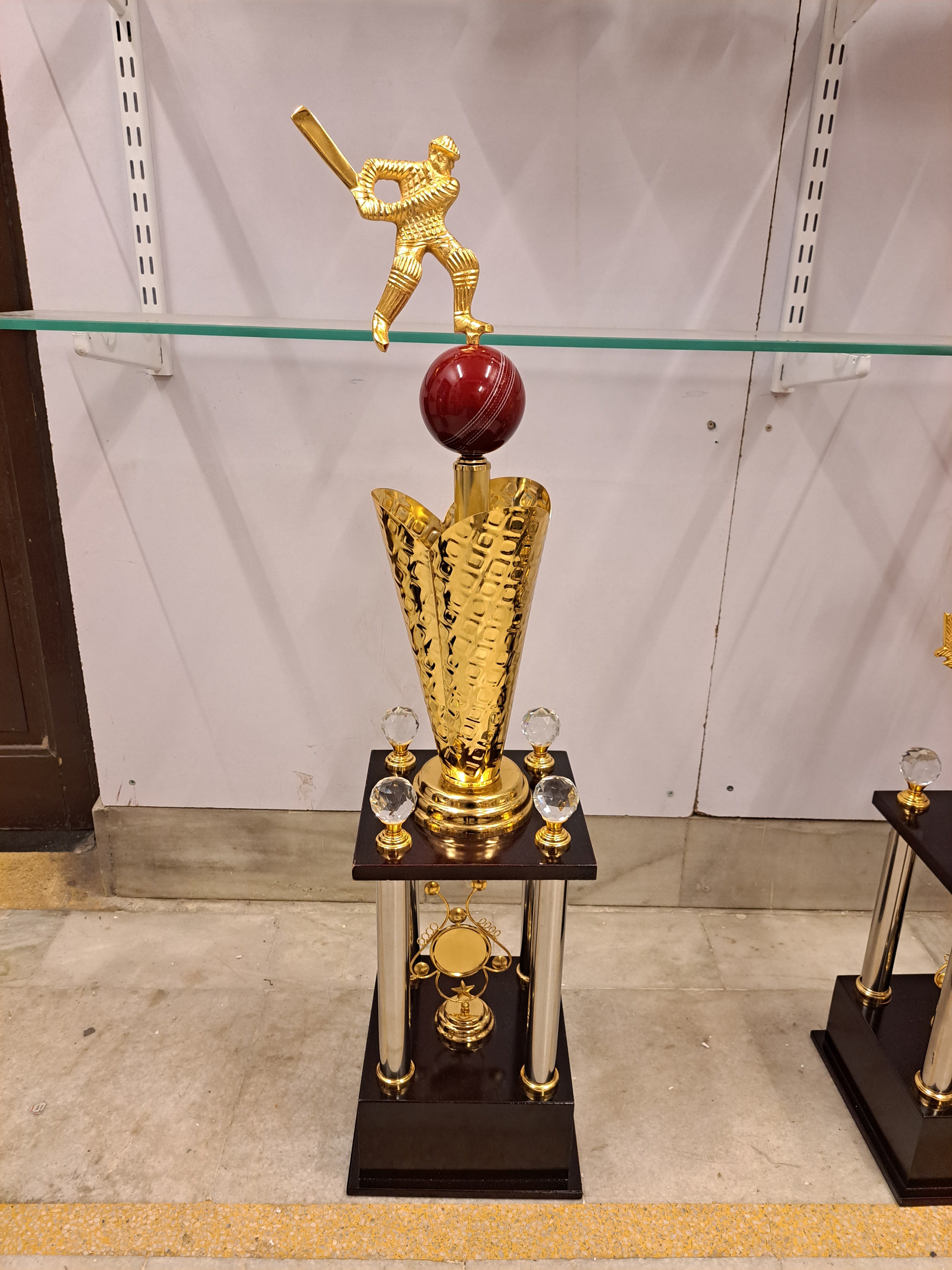 4622 Cricket Trophy